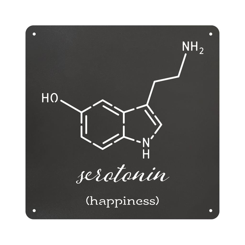12 x 12 Metal Wall Art - Serotonin – SteelFreak